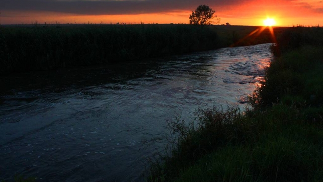 Klip River wetlands under threat | People°s Weather