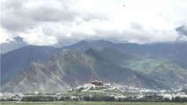 Five new animal species discovered in Tibet | People°s Weather